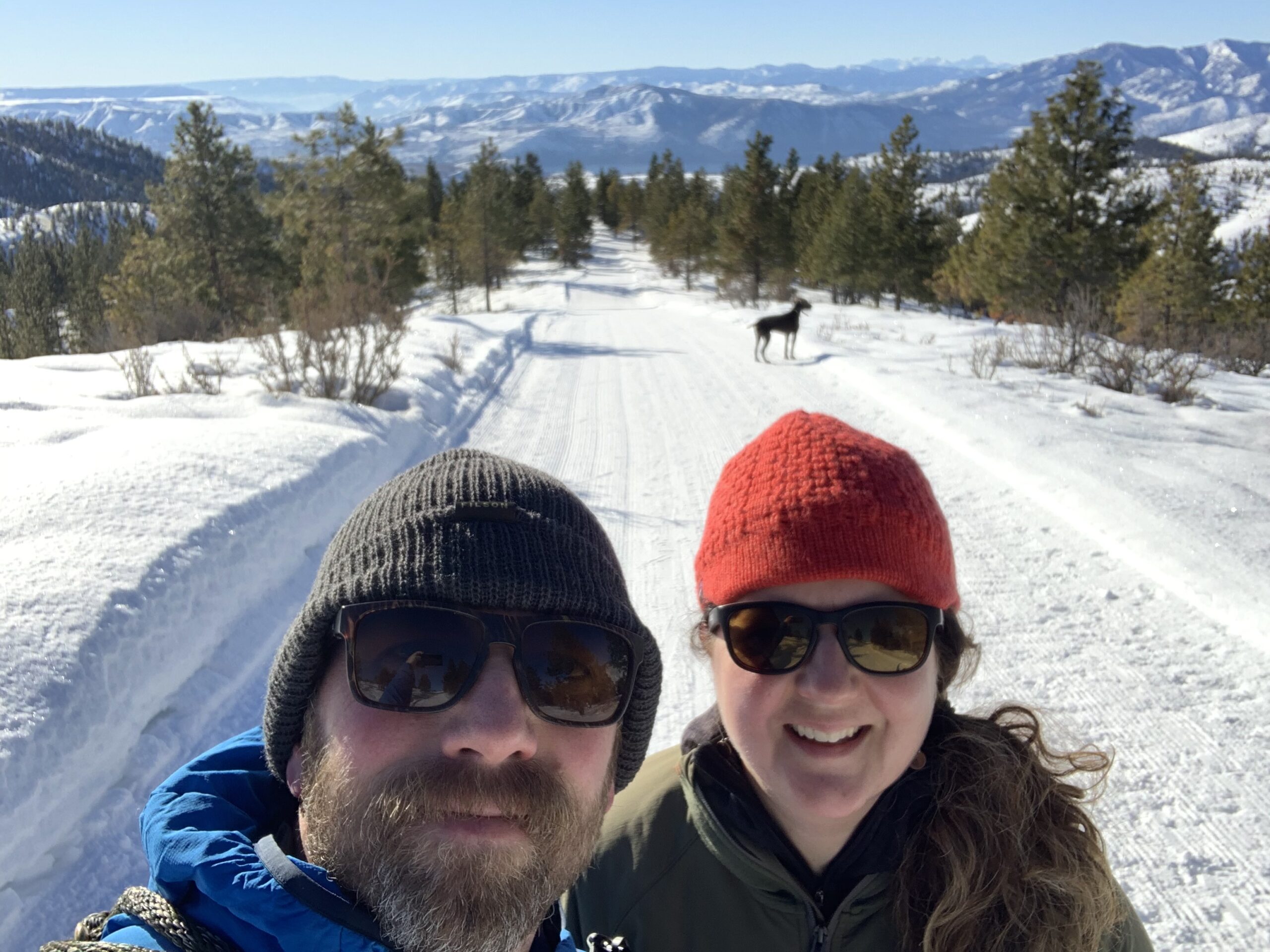 organization and photos - A Kitchen and An Apprentice
